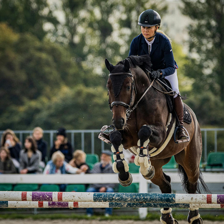 End The Cruel Rule That Lets Bleeding Horses Suffer For Competition ...