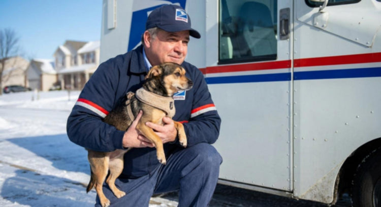 Dog Waits All Week For Her Postman, And He Shows Up With A Surprise ...