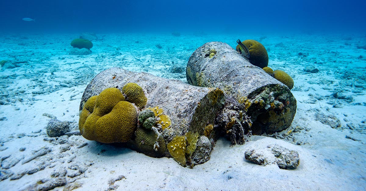 Ghostly Barrels Are Turning The Deep Into Dead Zones, But What Is In ...