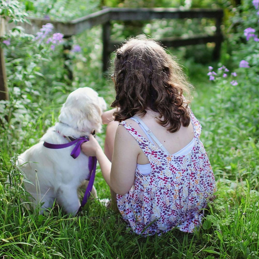 Protect Pets From Hidden Poisons In Plants And Scents | The Animal ...