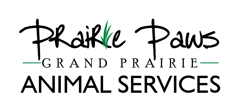 grand-prairie-animal-services-prairie-paws-adoption-center-255 | The ...