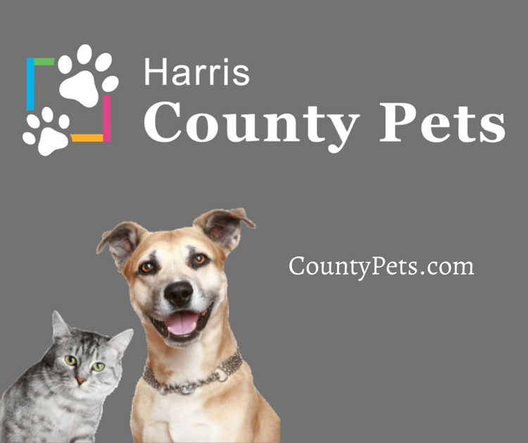 harris-county-pets-366 | The Animal Rescue Site
