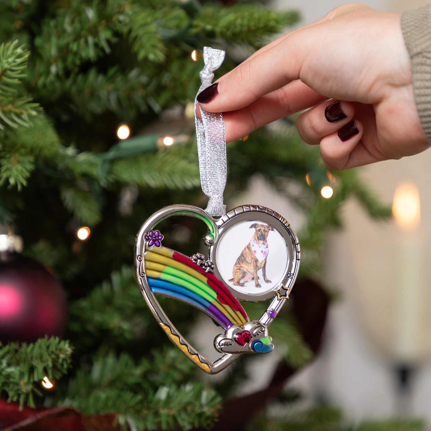 Rainbow Bridge Paw Print Photo Ornament | The Animal Rescue Site