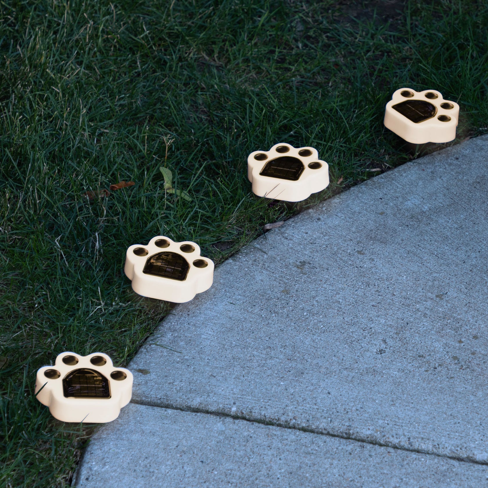 Paw Print Pathway Ground Solar Light - Set of 4 | The Animal Rescue Site