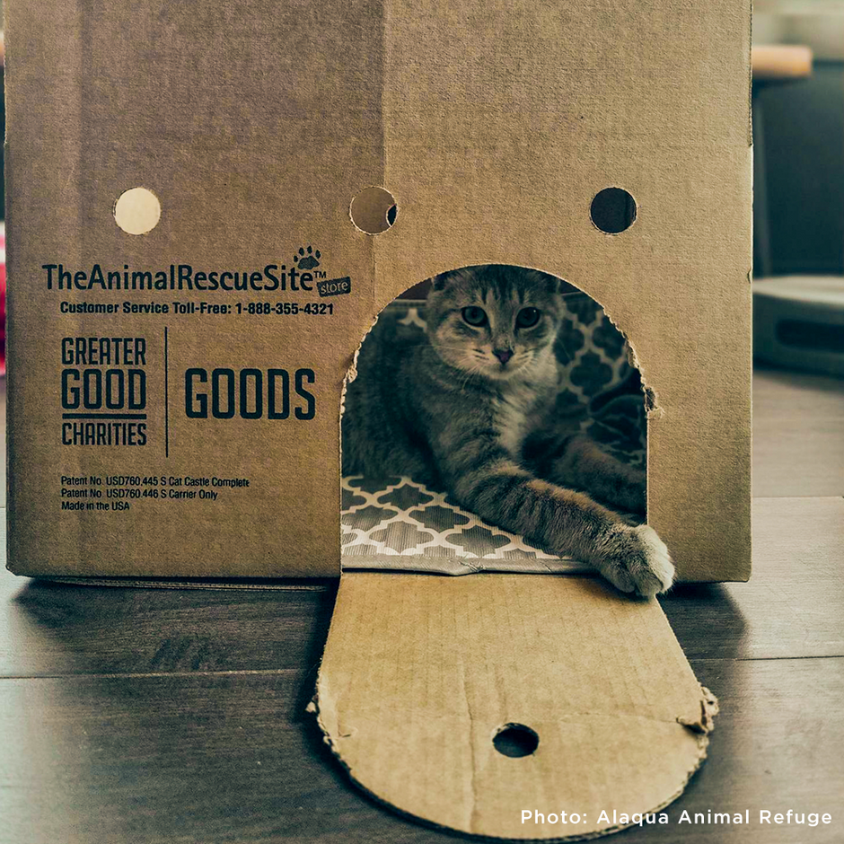 thomas-j-o-connor-animal-control-and-adoption-center | The Animal ...