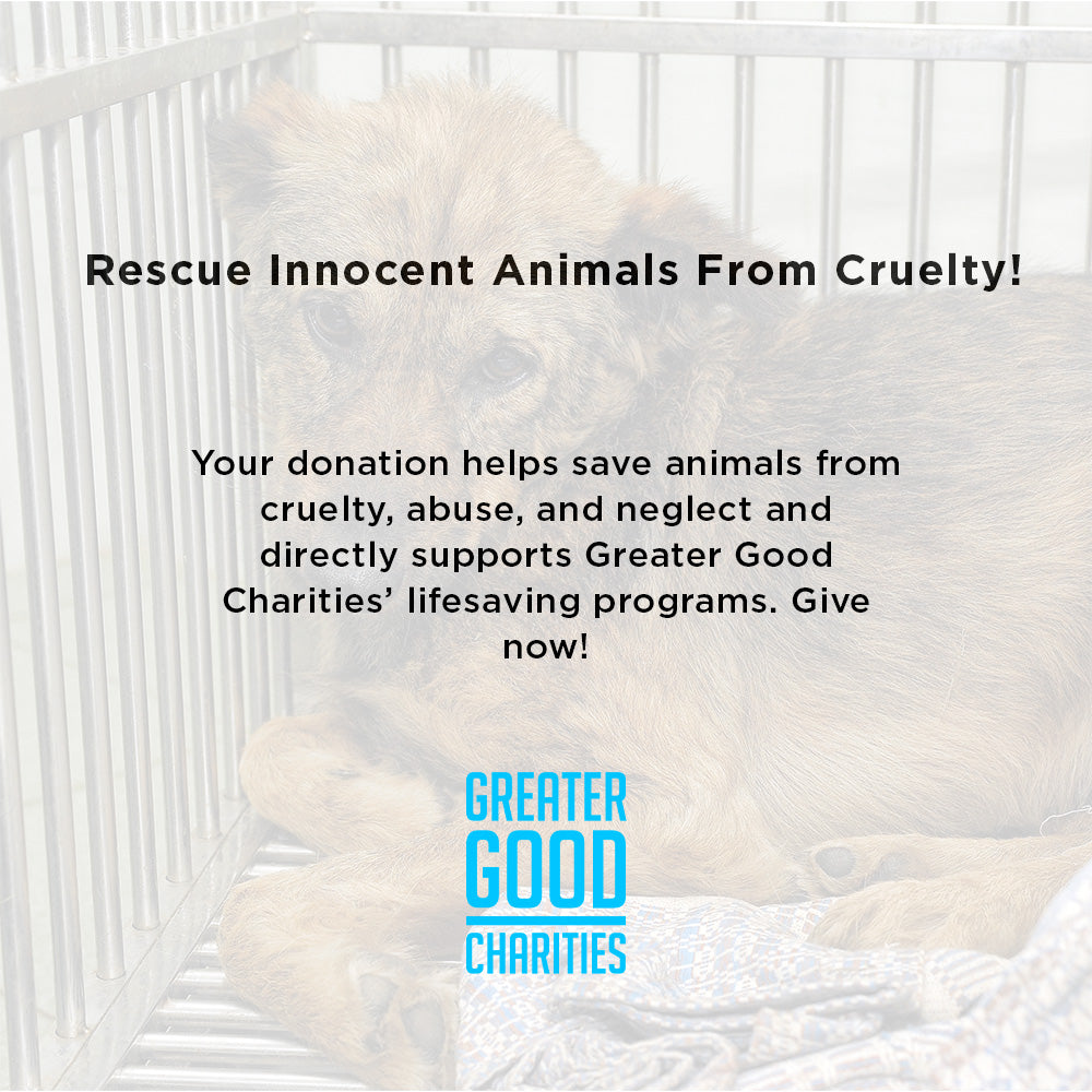 PAWS LIFELINE FUND: Rescue Pets From Major Cases of Abuse and Neglect ...