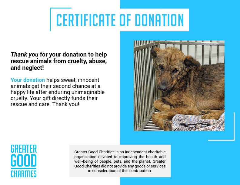 PAWS LIFELINE FUND: Rescue Pets From Major Cases of Abuse and Neglect ...