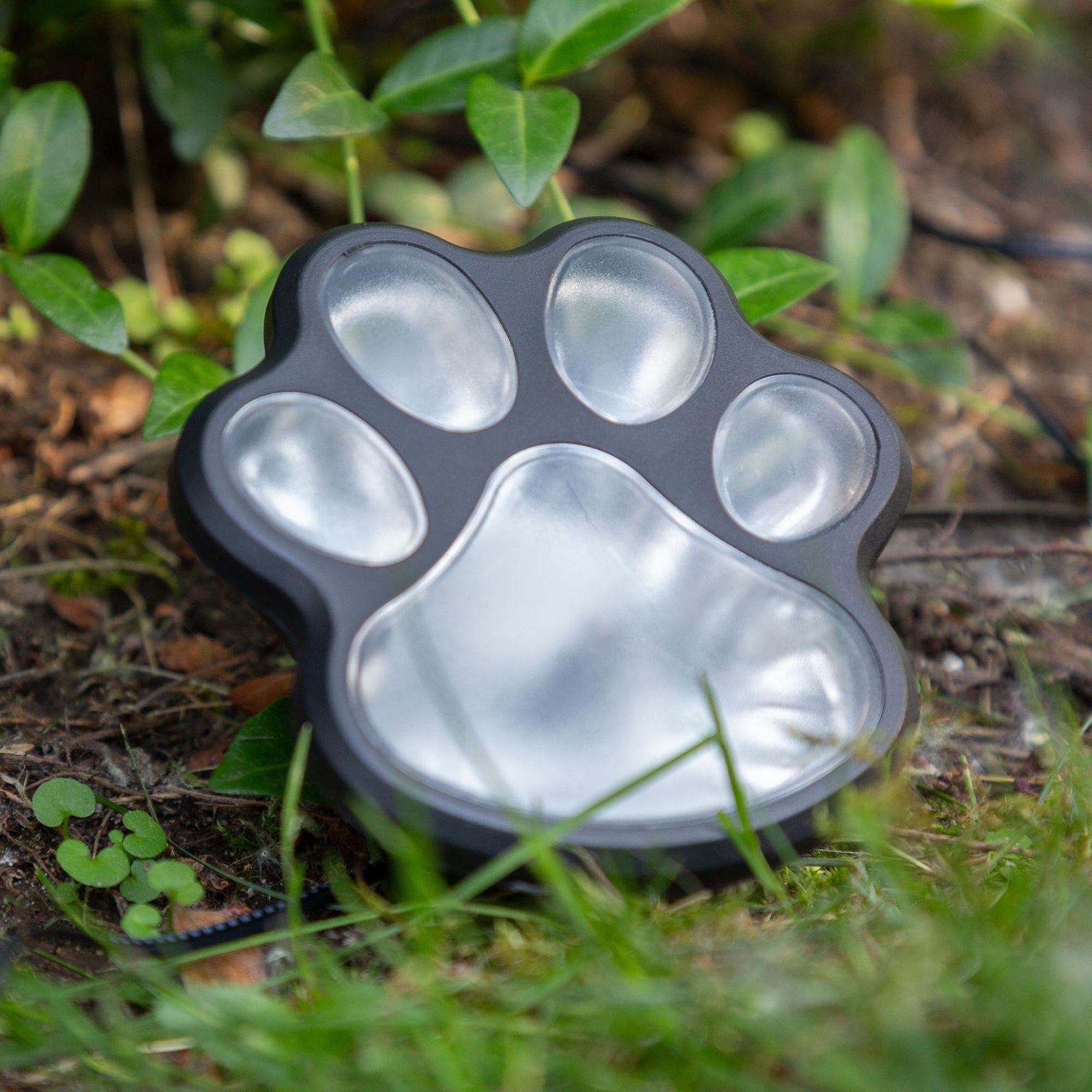 Paw Print Solar Ground Lights - Set of 4 | The Animal Rescue Site